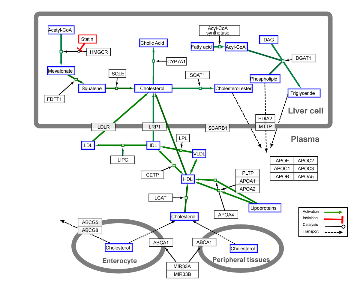 NRNB: WikiPathways
